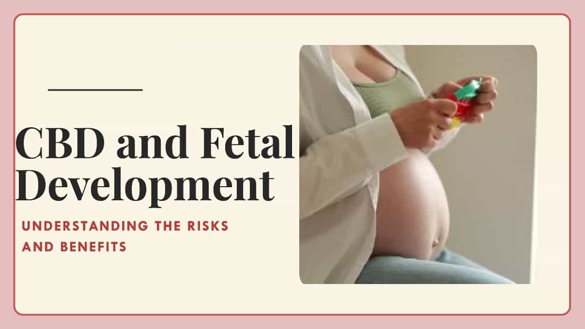 CBD And Fetal Development: Understanding The Risks And Benefits